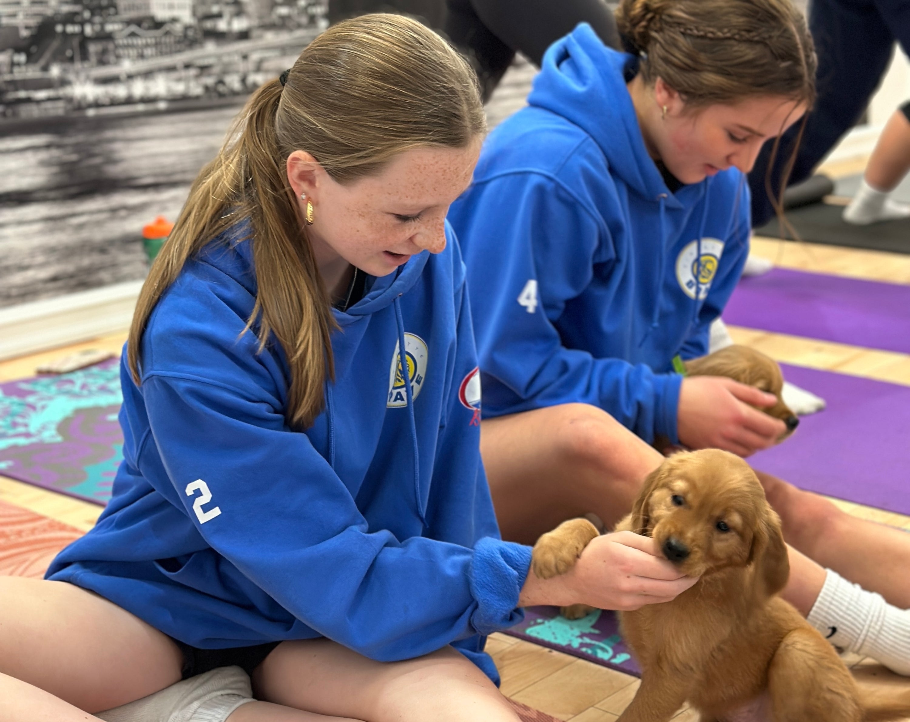 Private Events – Calgary Puppy Yoga